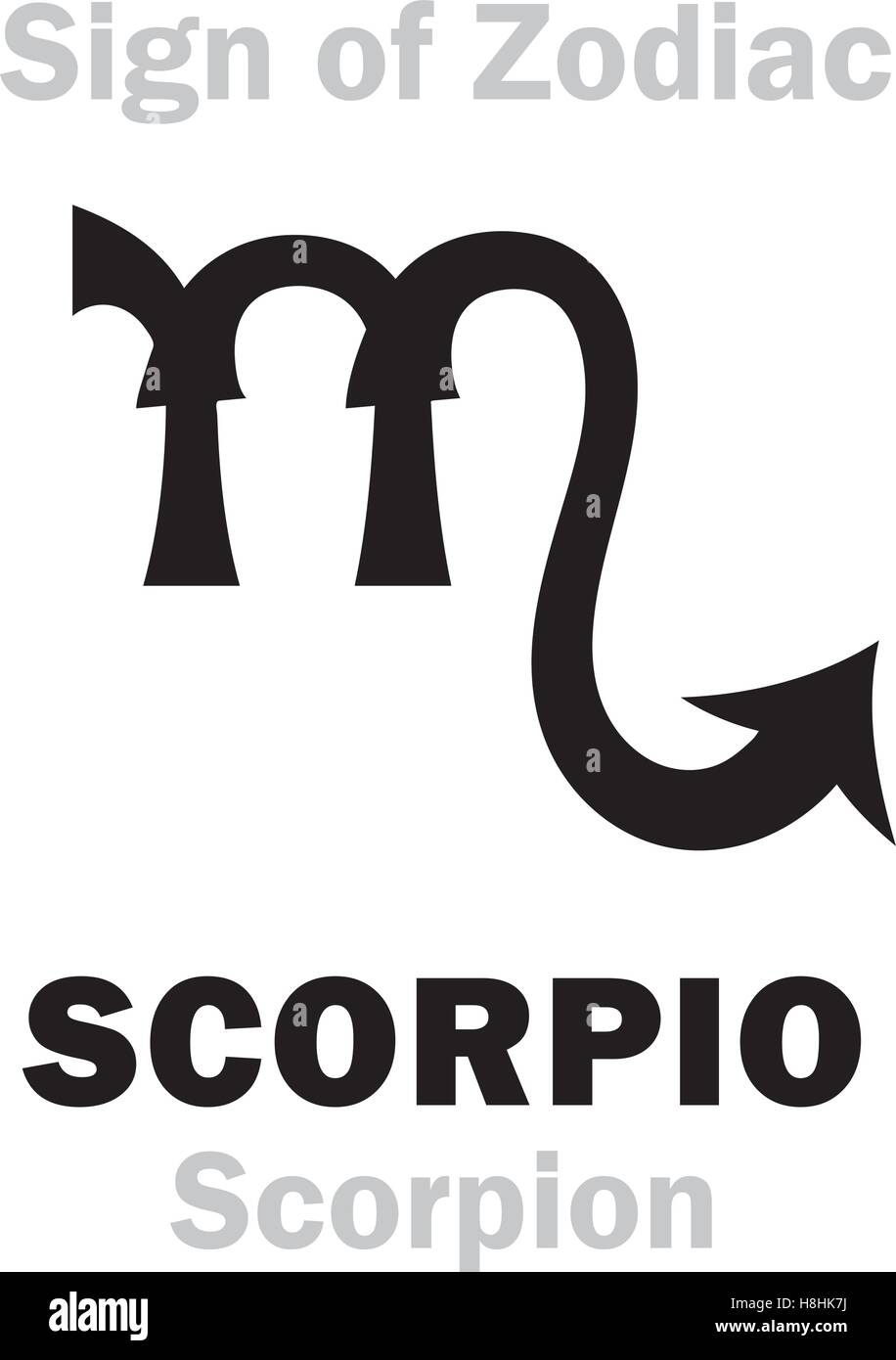 Astrology: Sign of Zodiac SCORPIO (The Scorpion Stock Vector Image ...