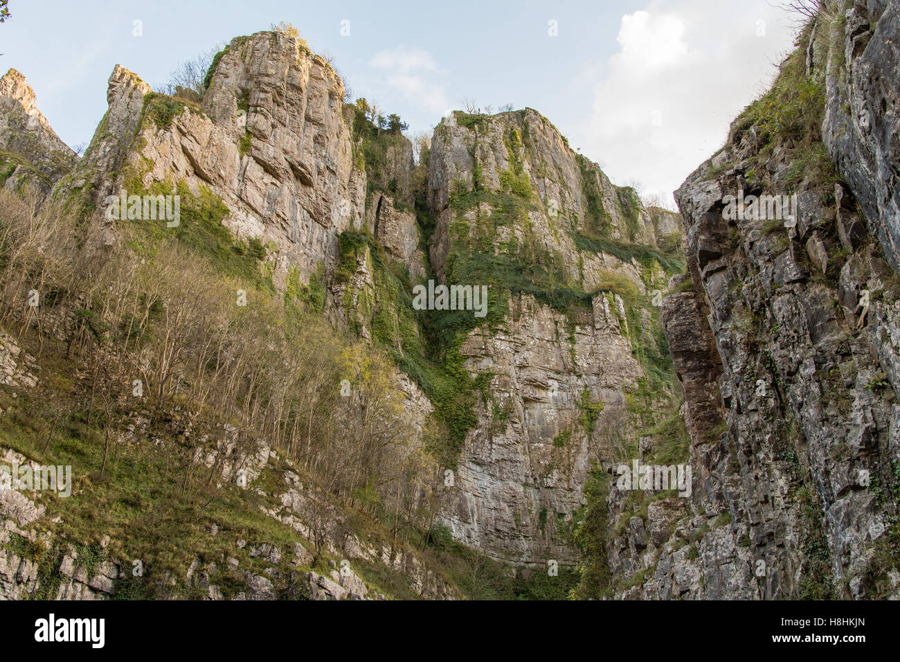 Looking up at cliffs of Cheddar Gorge. High limestone cliffs in canyon ...
