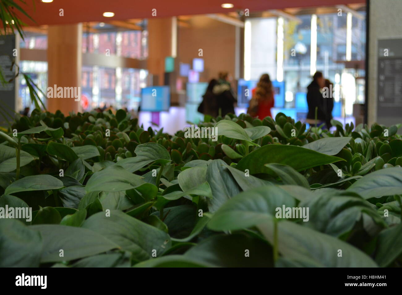 Inside of the recently renovated Johnson building of Boston Public ...