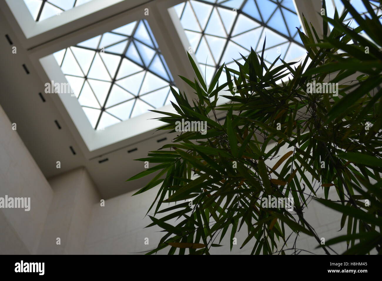 Inside of the recently renovated Johnson building of Boston Public ...