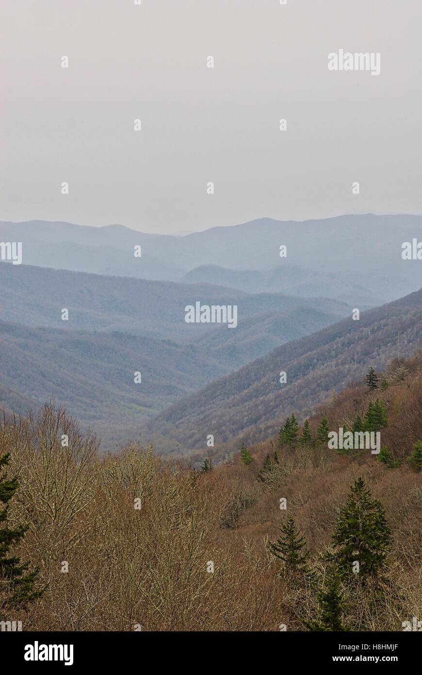 Tennessee wilderness hi-res stock photography and images - Alamy