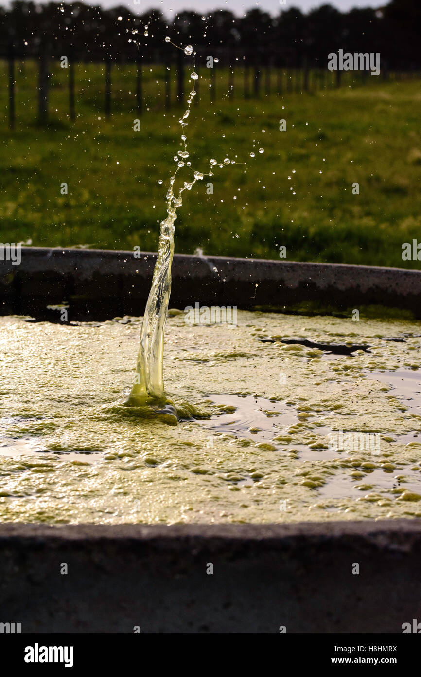 Spalsh of water hi-res stock photography and images - Alamy