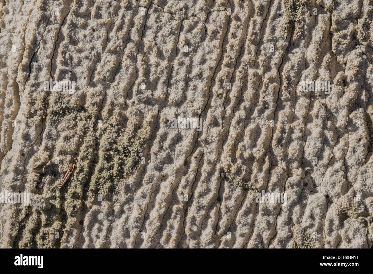 Rough surface hi-res stock photography and images - Alamy