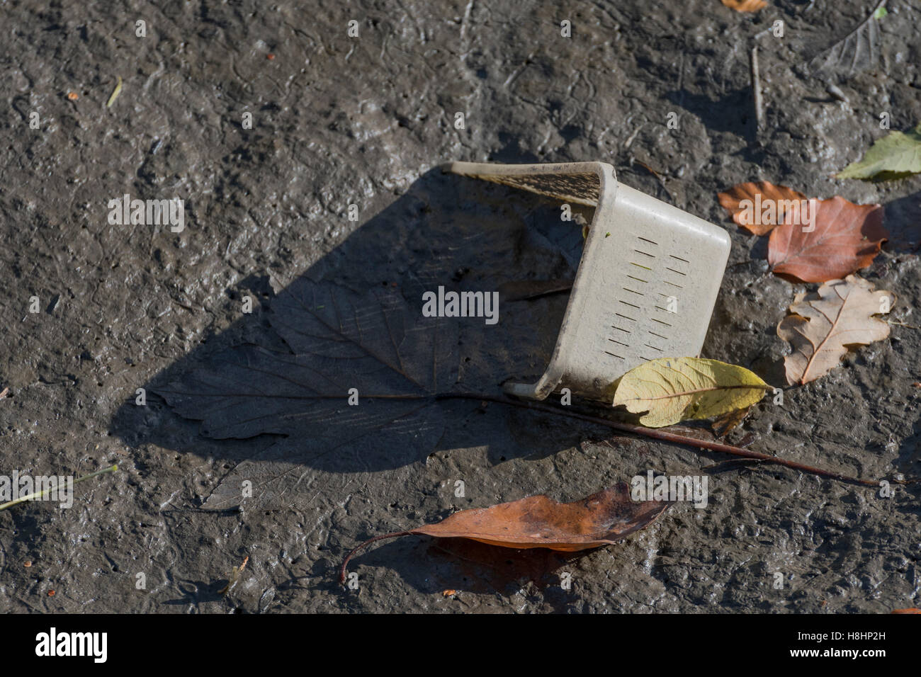 Discarded plastic container embedded in the muddy bed of an estuarine ...