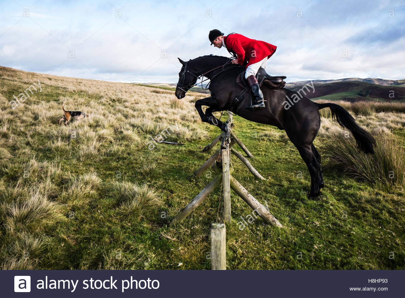 Jedforest Hunt Stock Photos & Jedforest Hunt Stock Images - Alamy