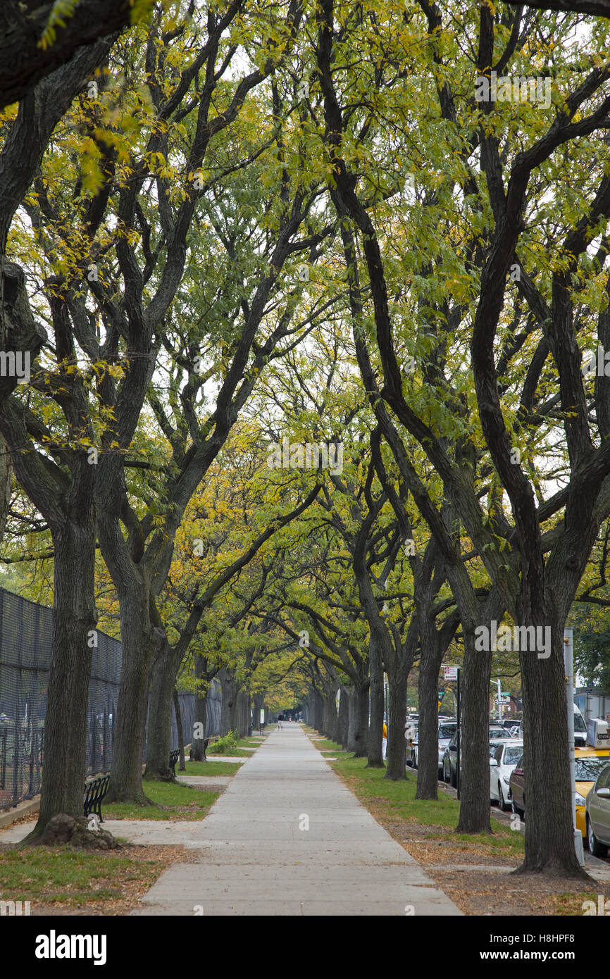 Caton avenue hi-res stock photography and images - Alamy