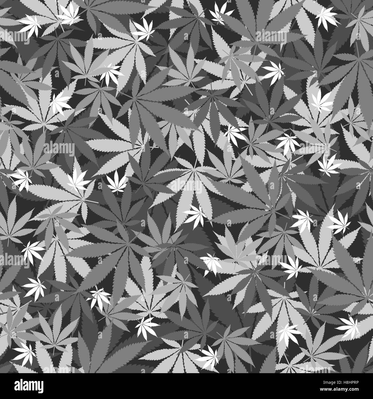Seamless cannabis leaves pattern. Medical marijuana, legalize culture ...