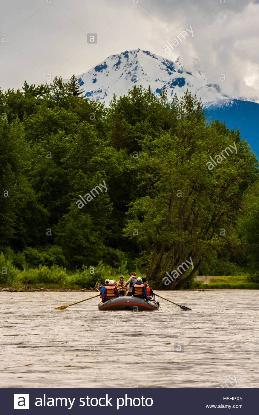 Chilkat Bald Eagle Preserve Stock Photos & Chilkat Bald Eagle Preserve ...
