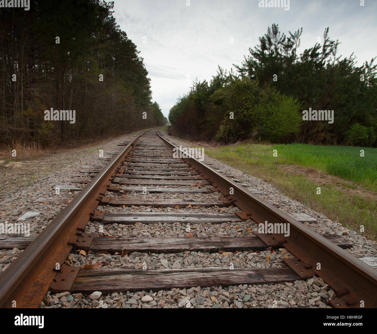 Back railroad tracks covered with rust in North Carolina Stock Photo ...