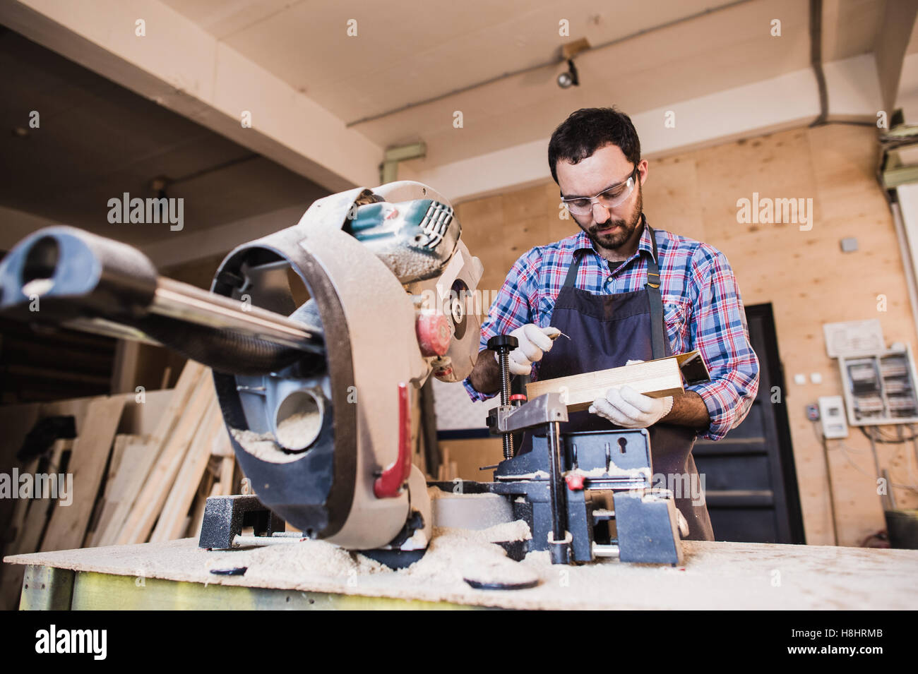 Framing contractor using a circular cut off saw to trim wood studs ...