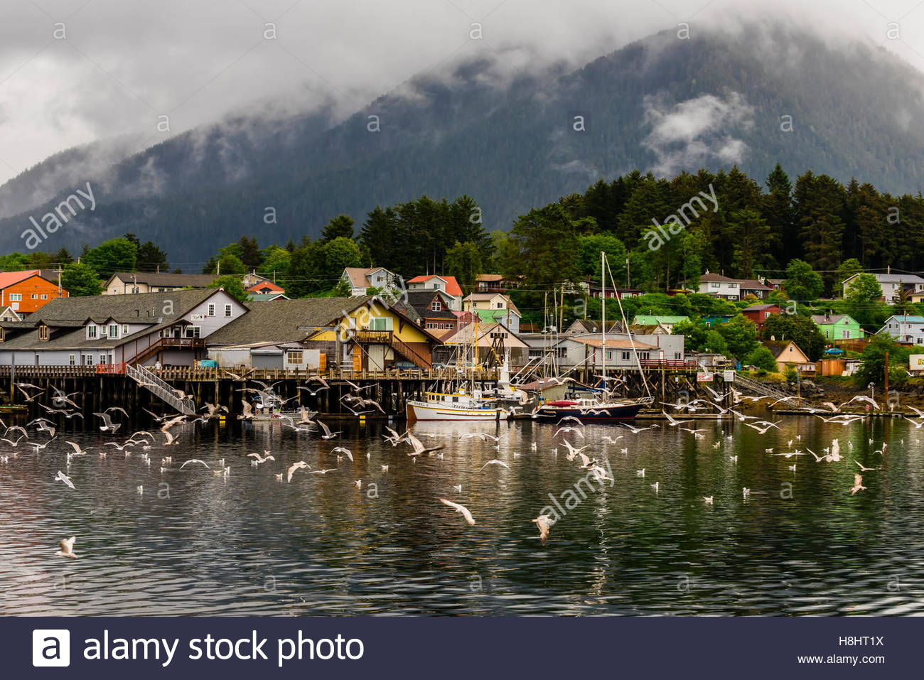 Sitka Stock Photos & Sitka Stock Images - Alamy