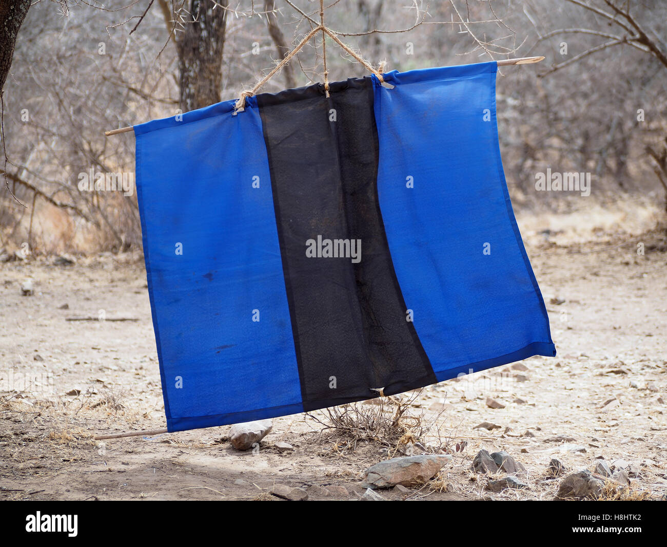 Tsetse fly traps hi-res stock photography and images - Alamy