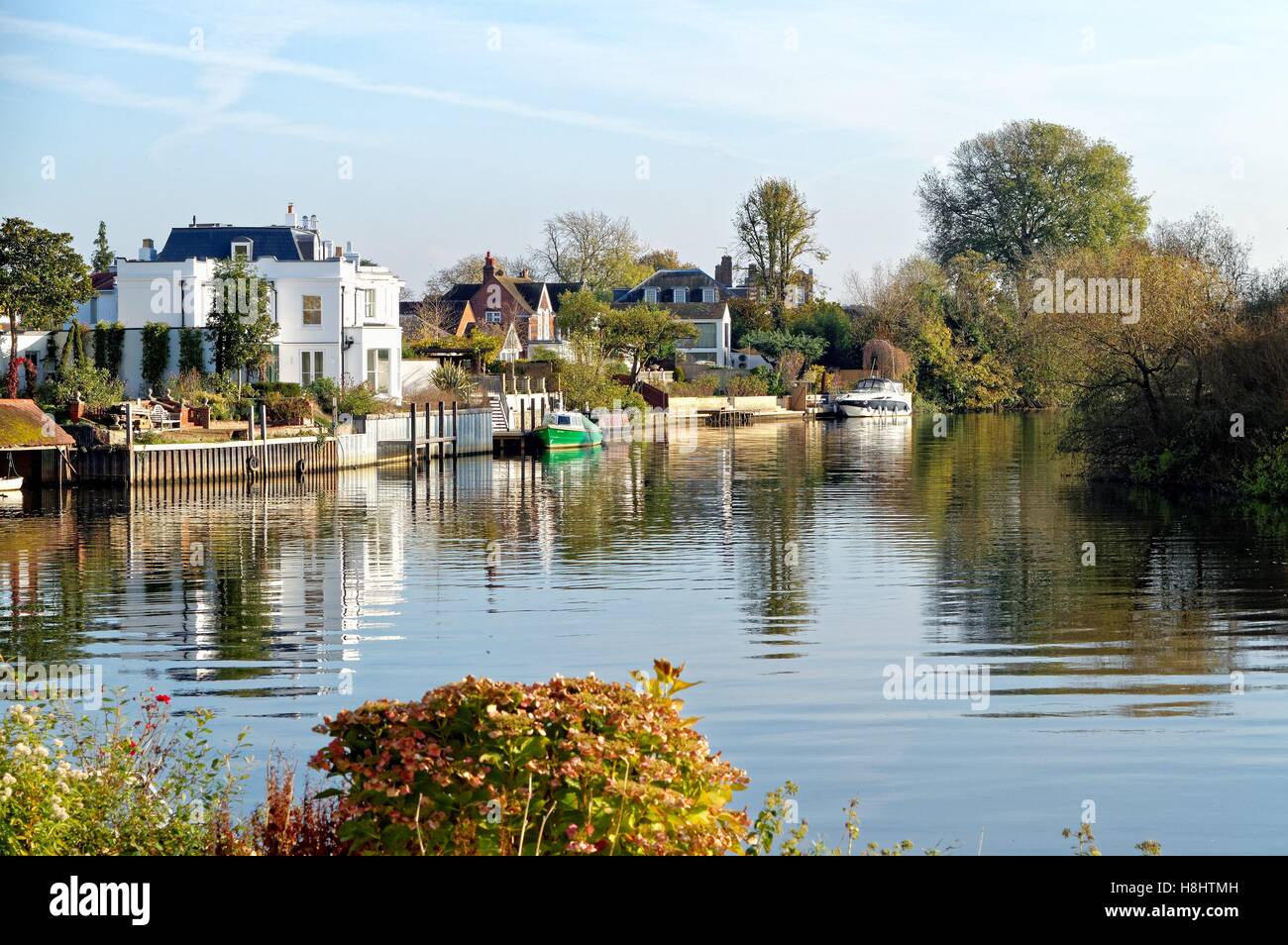 Exclusive residential homes by the River Thames Shepperton Surrey UK ...