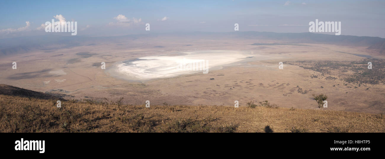 Ngorongoro conservation area hi-res stock photography and images - Alamy