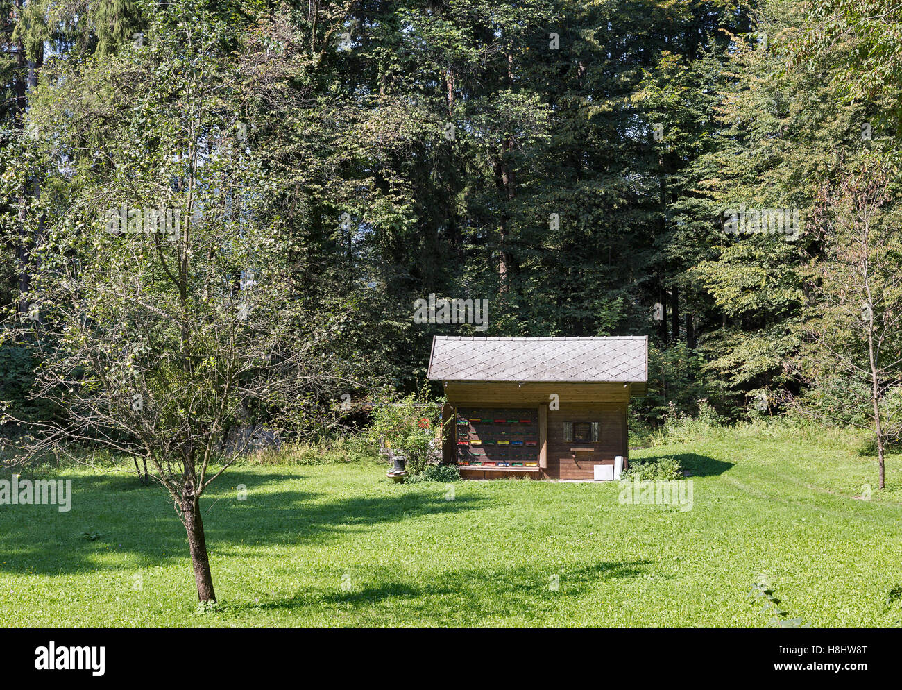 Apiary house with hives in the mountains of Slovenia Stock Photo - Alamy