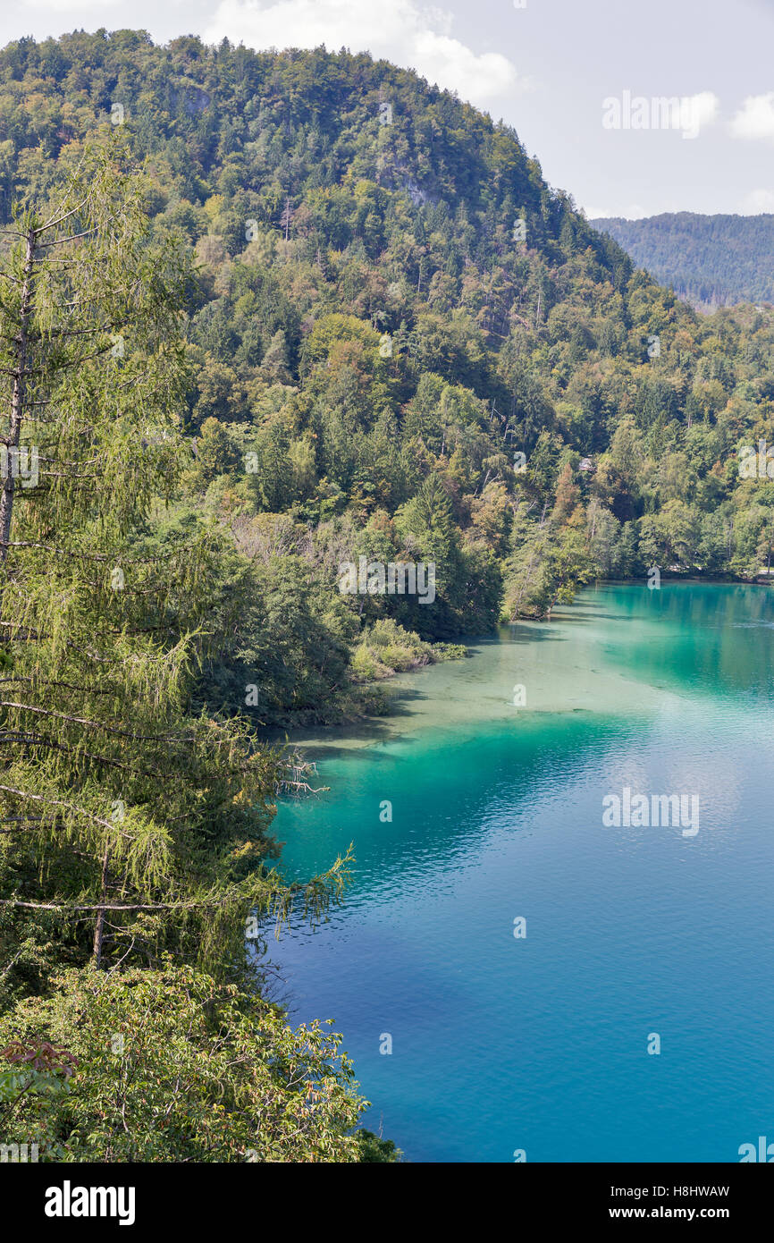 Lake Bled Alpine landscape, Slovenia Stock Photo - Alamy