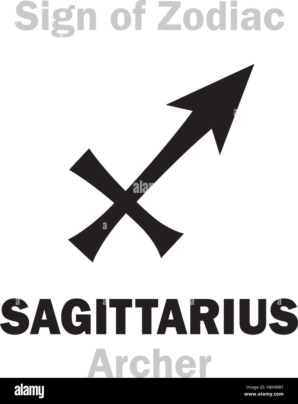 Astrology: Sign of Zodiac SAGITTARIUS (The Archer Stock Vector Image ...