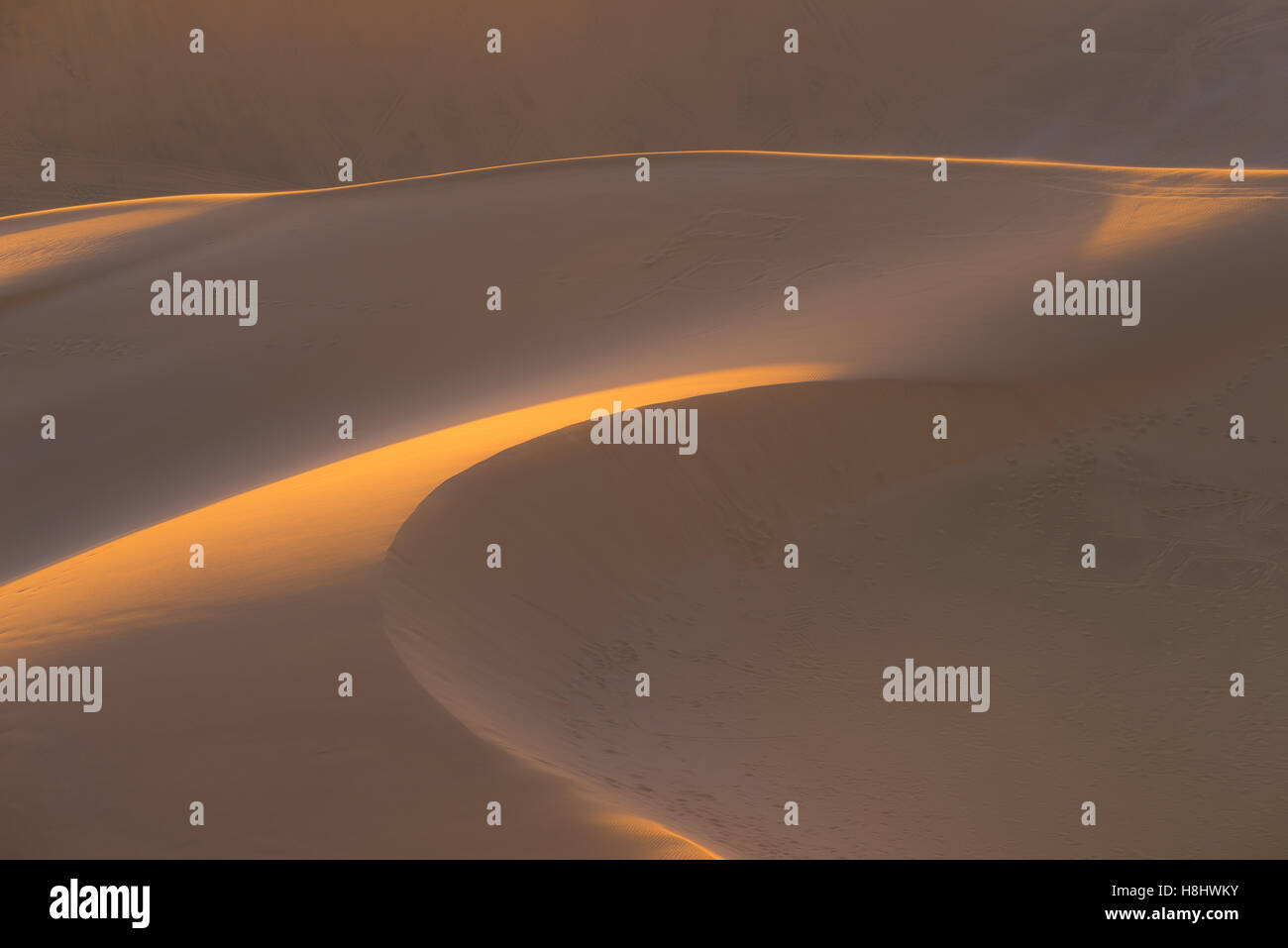 Soft sunlight over ridges and shapes of sand dunes in the majestic ...