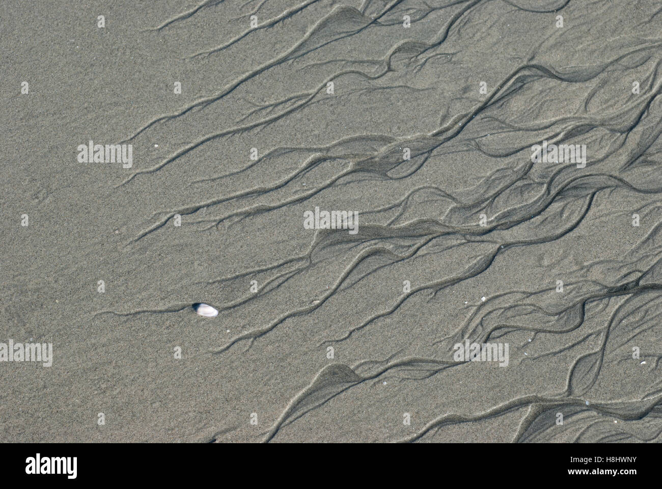 Tiny, meandering channels left on fine beach sand by retreating waves ...