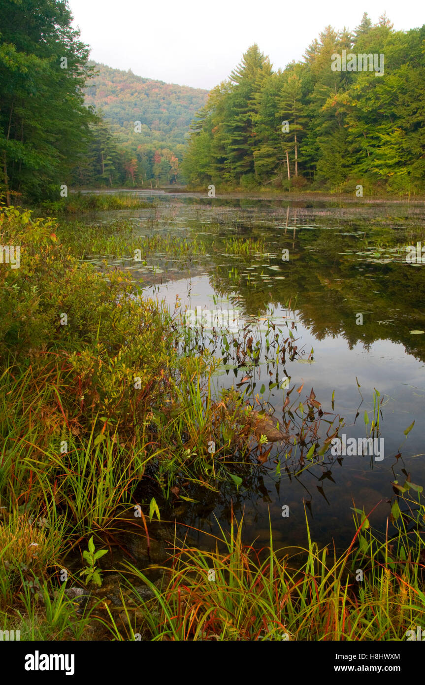 Perkins Pond, Perkins Pond Wildlife Management Area, New Hampshire ...