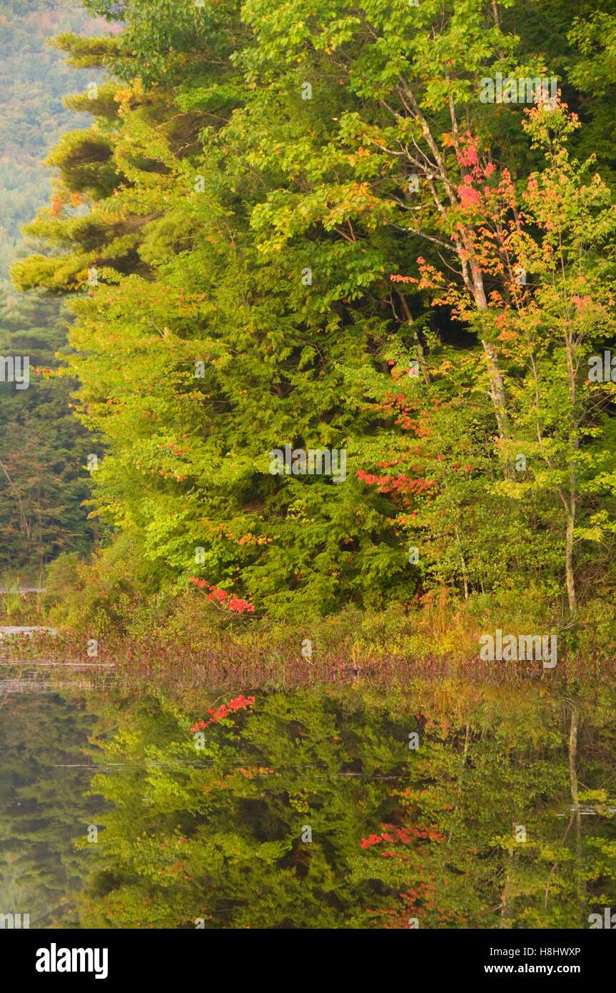 Perkins Pond, Perkins Pond Wildlife Management Area, New Hampshire ...