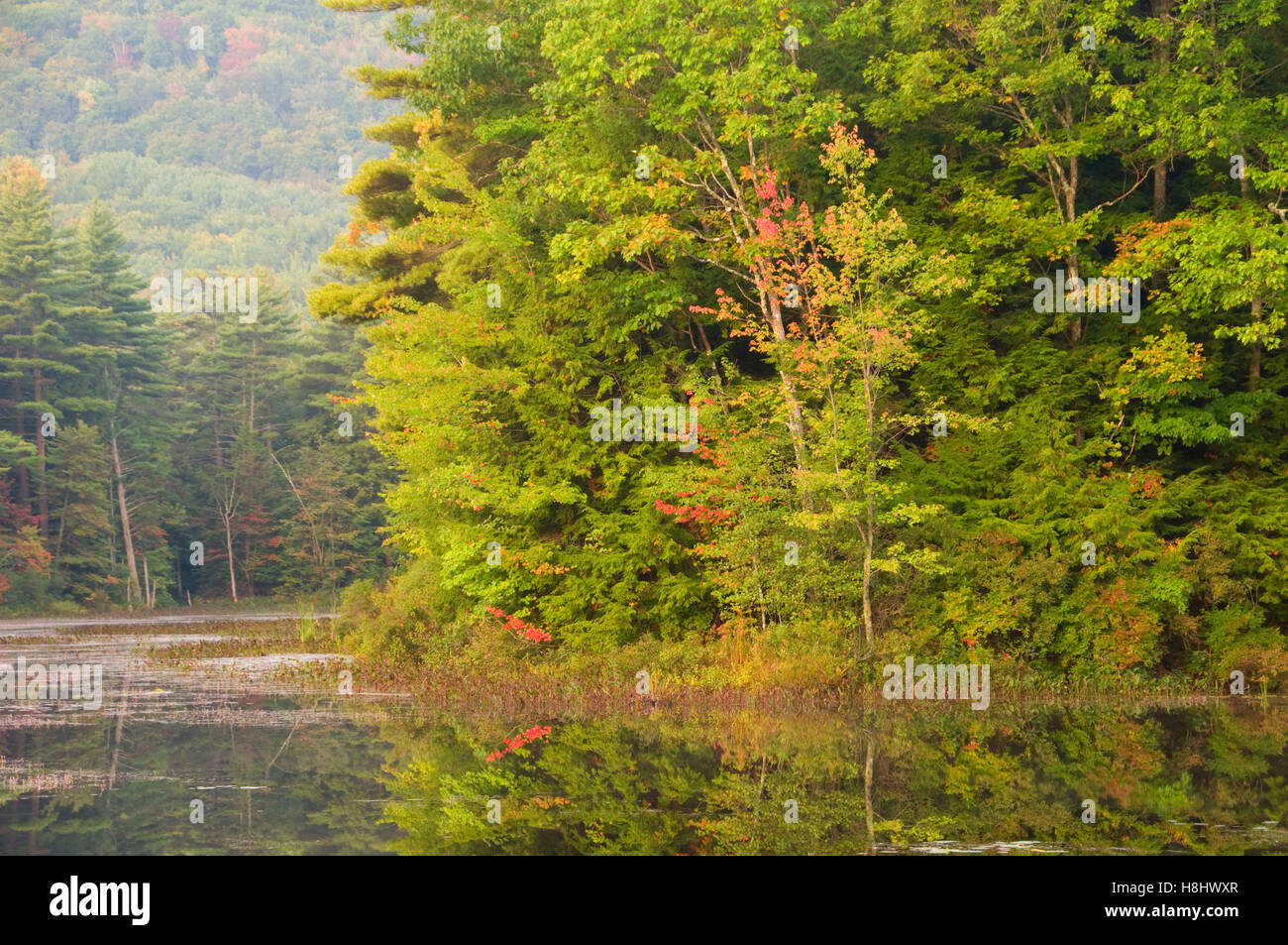 Perkins Pond, Perkins Pond Wildlife Management Area, New Hampshire ...