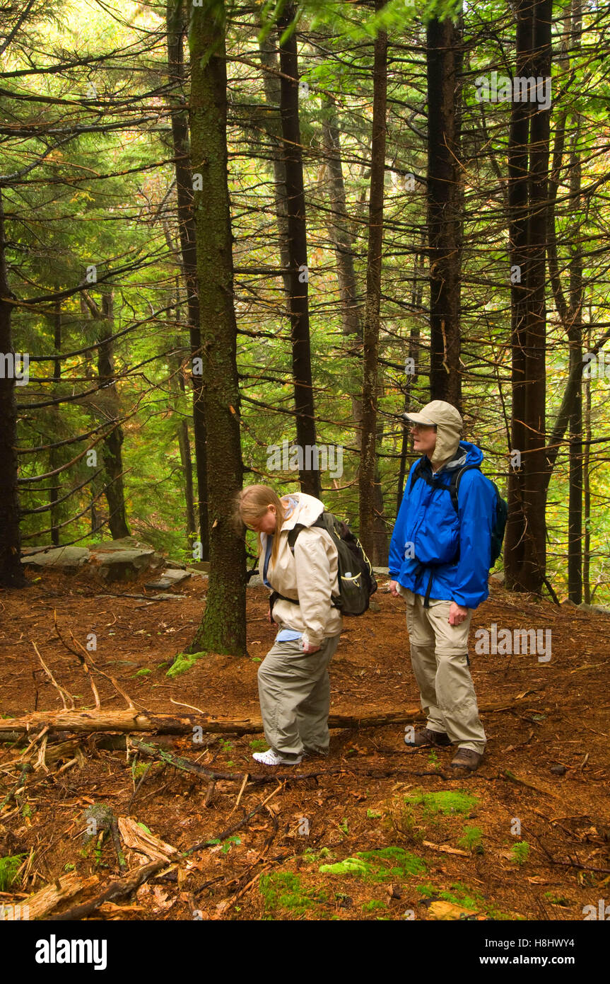Trail on Pack Monadnock, Miller State Park, New Hampshire Stock Photo ...