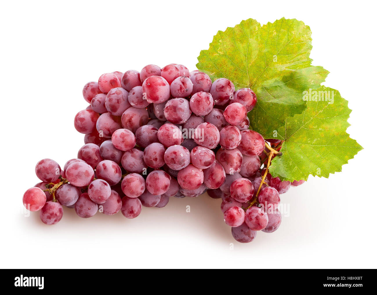 Vibrant cluster red green Cut Out Stock Images & Pictures - Alamy