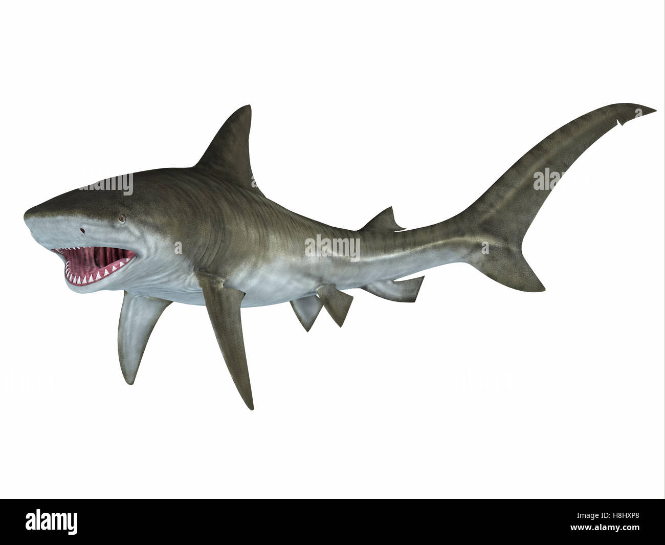 Attack posture hi-res stock photography and images - Alamy