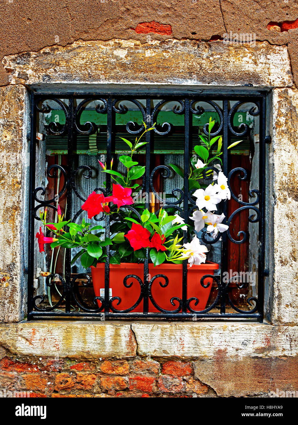 Venice window box red white flowers iron frame Stock Photo - Alamy
