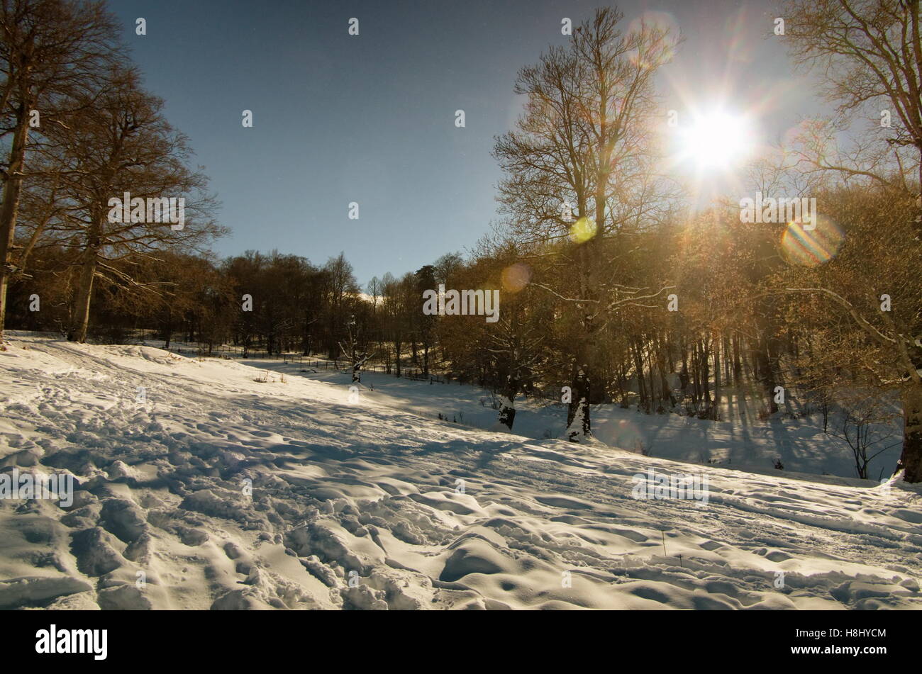 Georgia bakuriani ski resort hi-res stock photography and images - Alamy