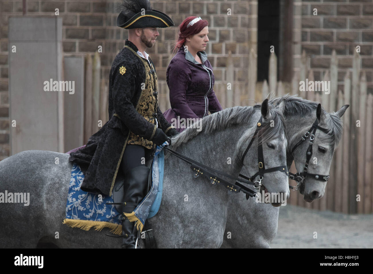 Baroque horse hi-res stock photography and images - Alamy