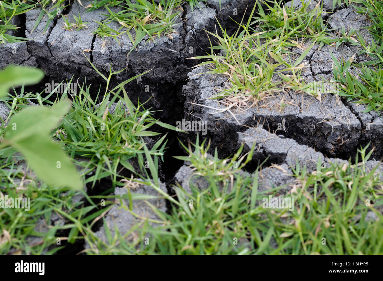 Deep cracks soil hi-res stock photography and images - Alamy