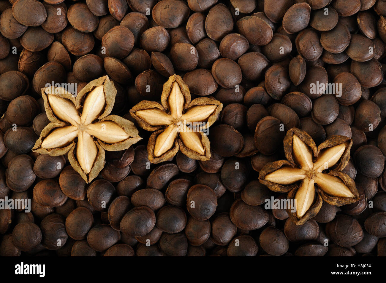 dried sacha inchi on roasted sacha inchi seeds background Stock Photo ...