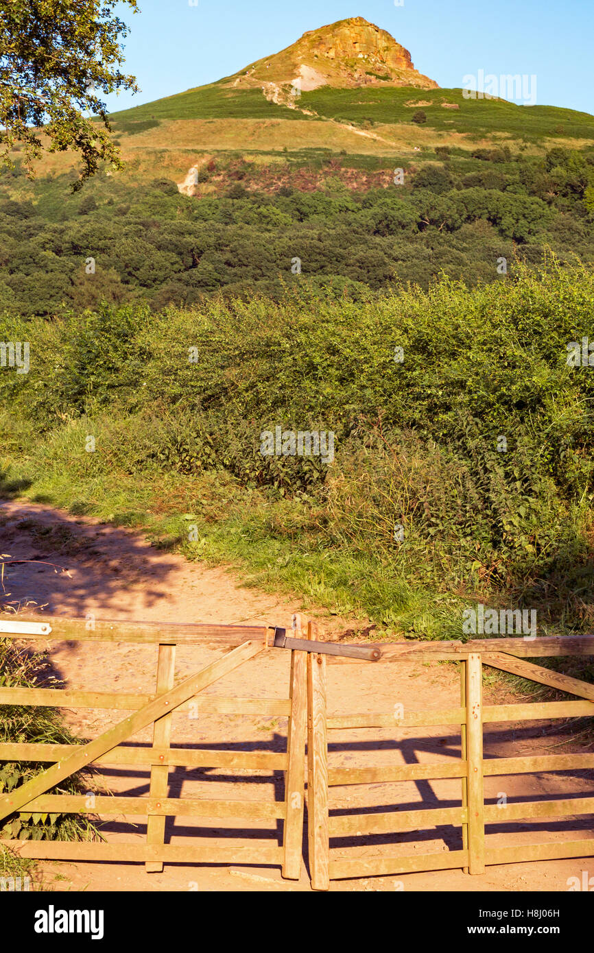 Roseberry Topping, North Yorkshire, England, UK Stock Photo - Alamy