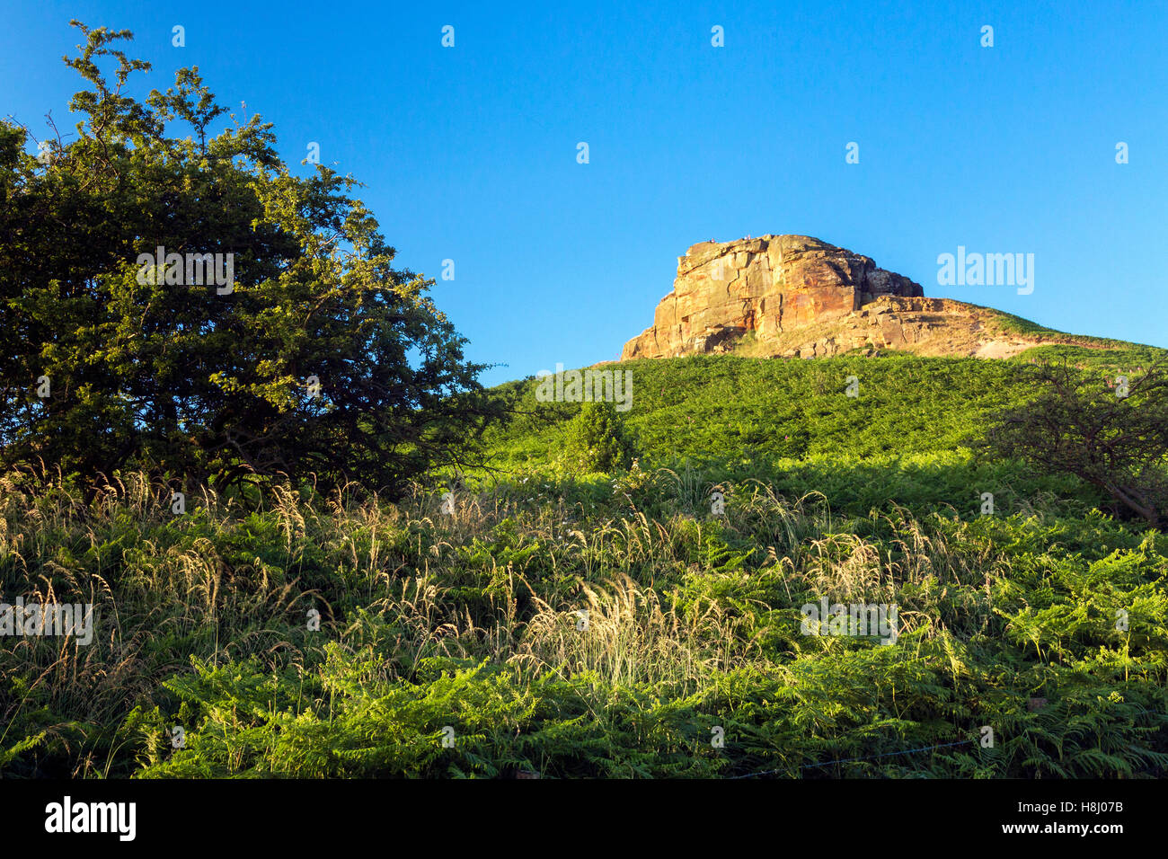 Roseberry Topping, North Yorkshire, England Stock Photo - Alamy