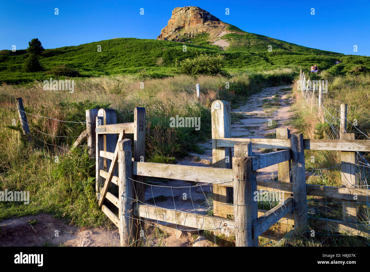 Gate and path to Roseberry Topping, North Yorkshire, England Stock ...