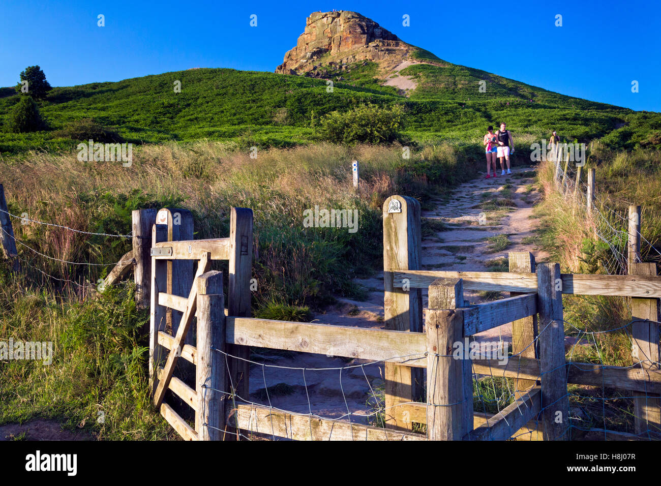 Roseberry Topping, North Yorkshire, England Stock Photo - Alamy