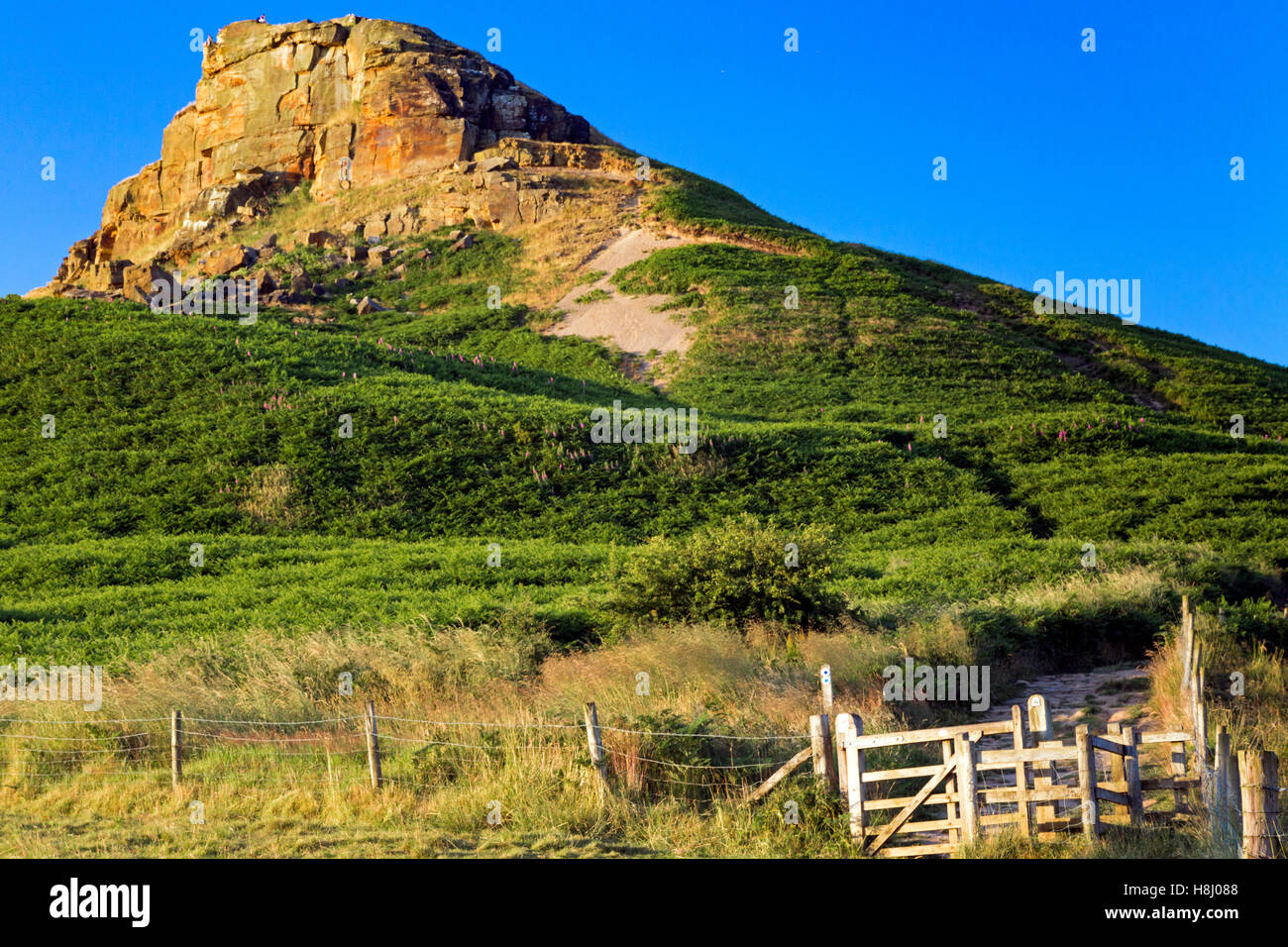 Roseberry Topping, North Yorkshire, England Stock Photo - Alamy