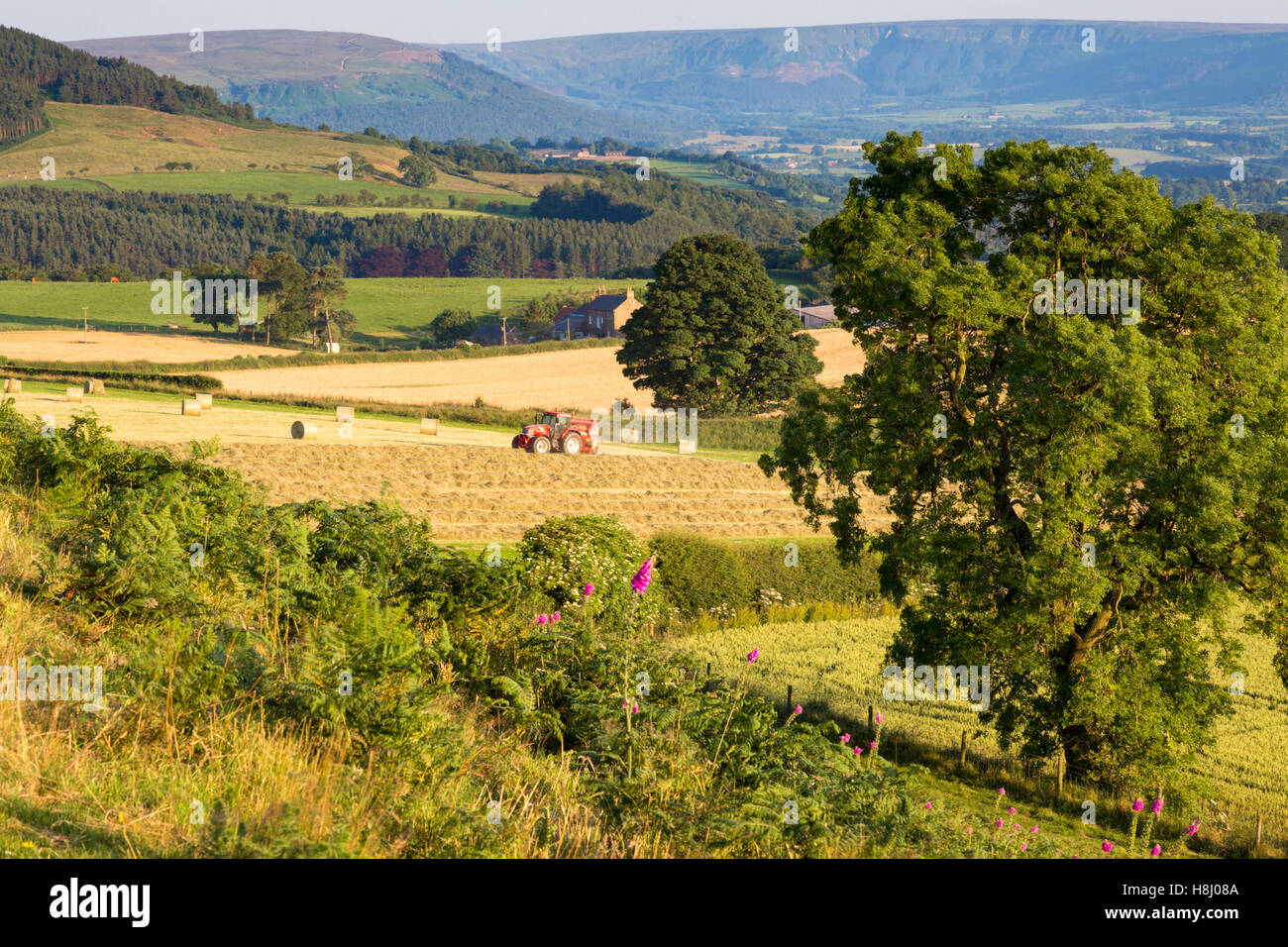 North Yorkshire moors and Cleveland hills, England, UK Stock Photo - Alamy
