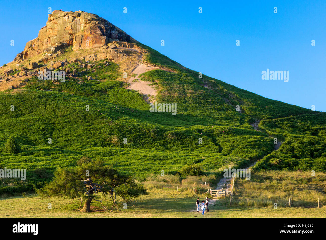 Roseberry Topping, North Yorkshire, England Stock Photo - Alamy