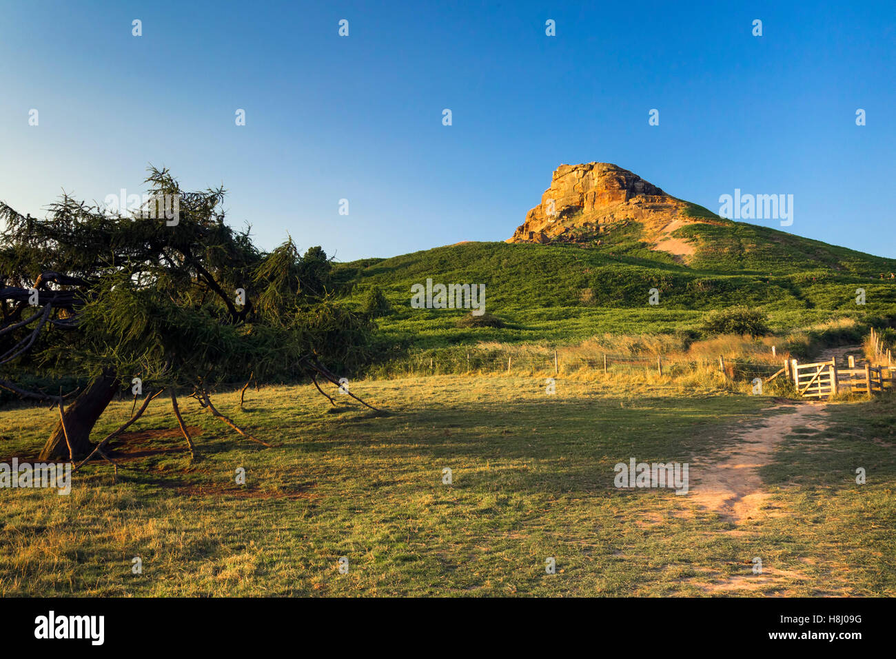Roseberry Topping, North Yorkshire, England Stock Photo - Alamy