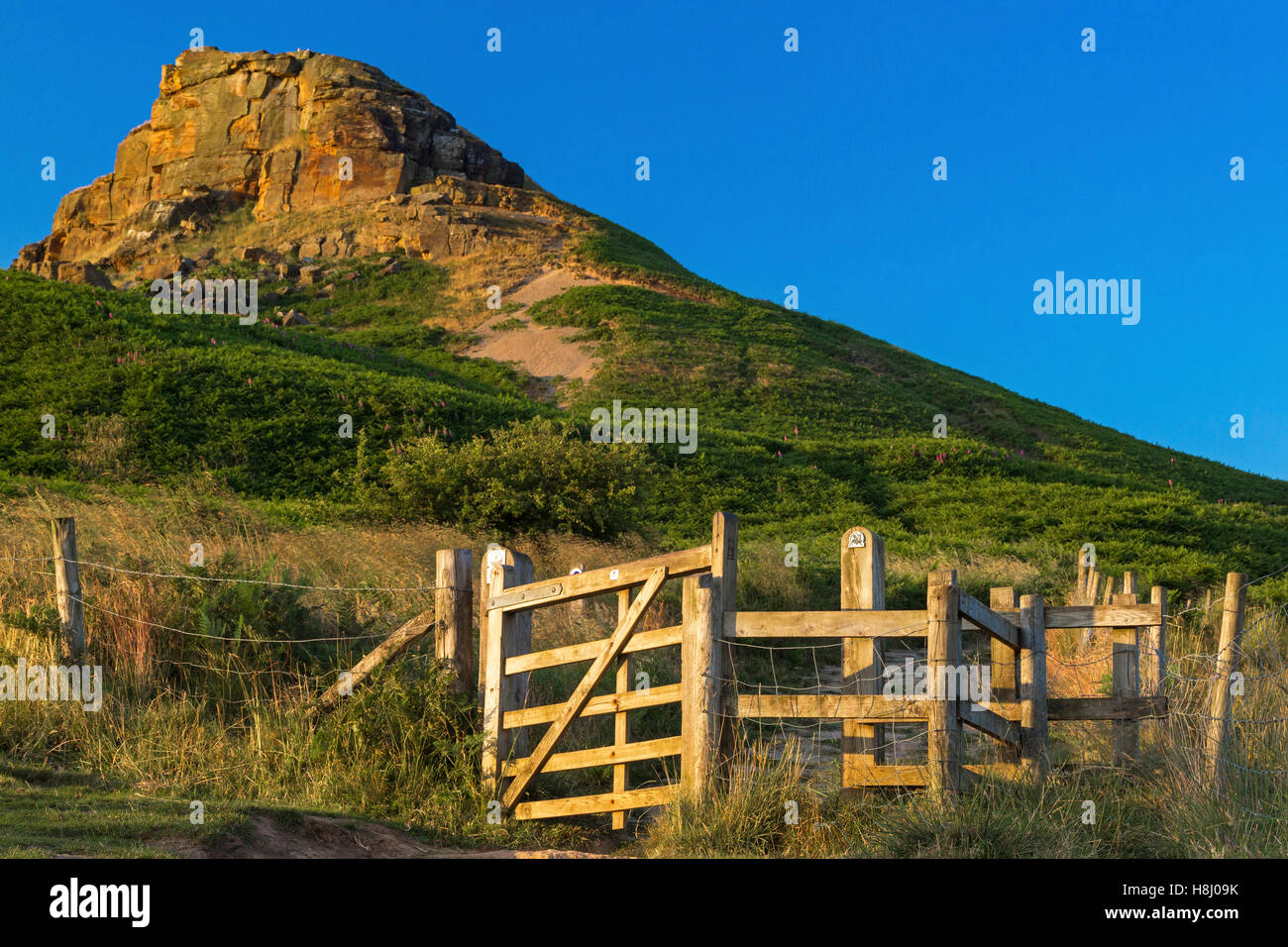 Roseberry Topping, North Yorkshire, England Stock Photo - Alamy