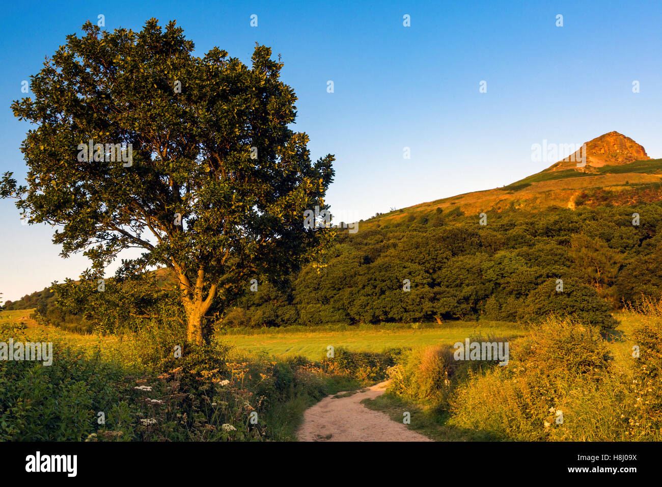 Roseberry Topping, North Yorkshire, England Stock Photo - Alamy