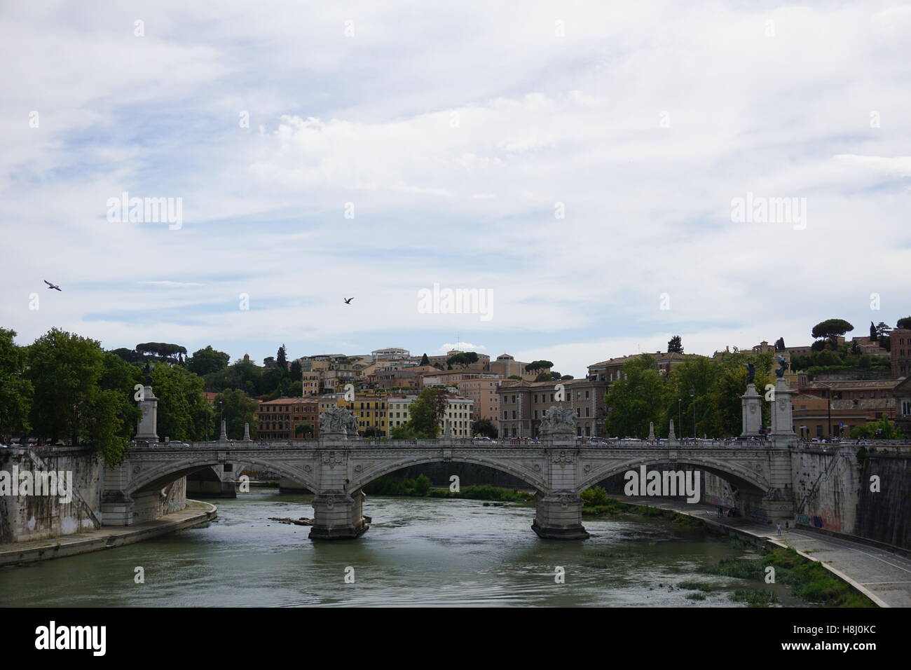 Snow green screen hi-res stock photography and images - Alamy
