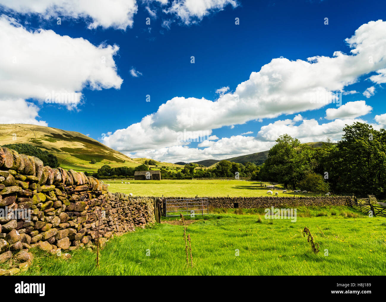 Edale with green trees hi-res stock photography and images - Alamy