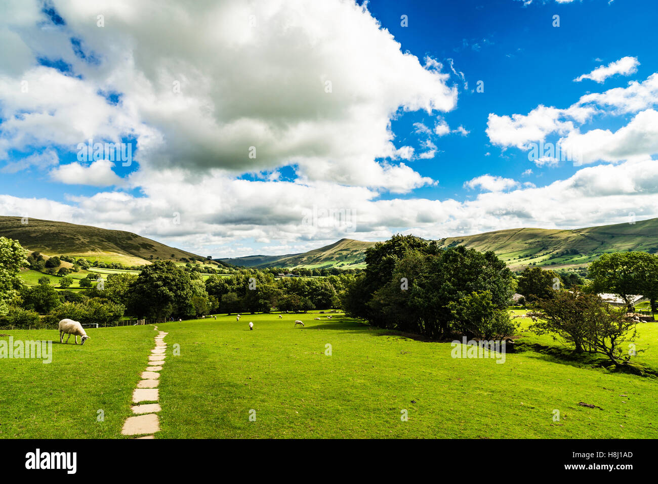 Edale with green trees hi-res stock photography and images - Alamy