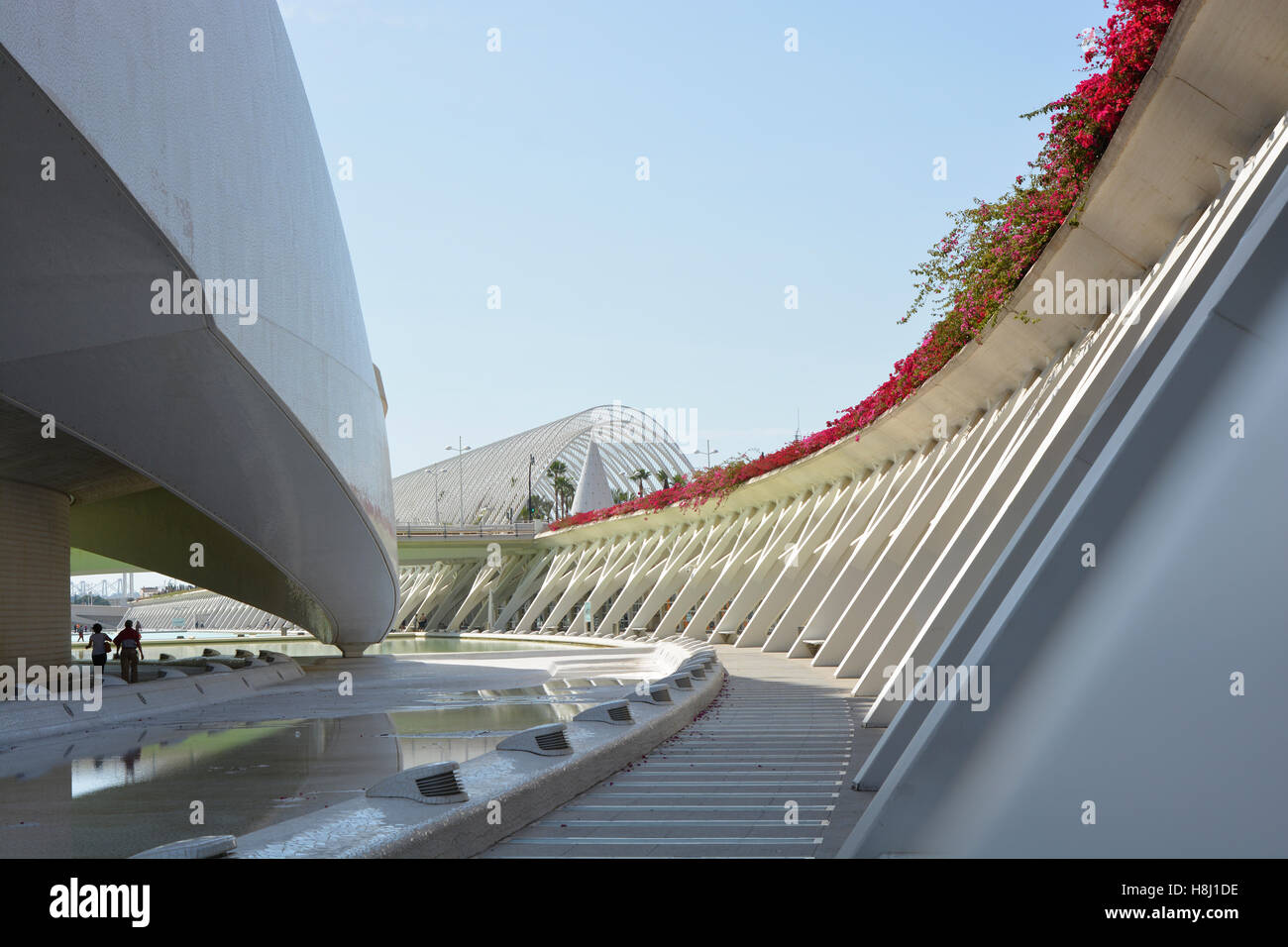 The City of Arts and Sciences in the Turia Gardens, Valencia, Spain ...