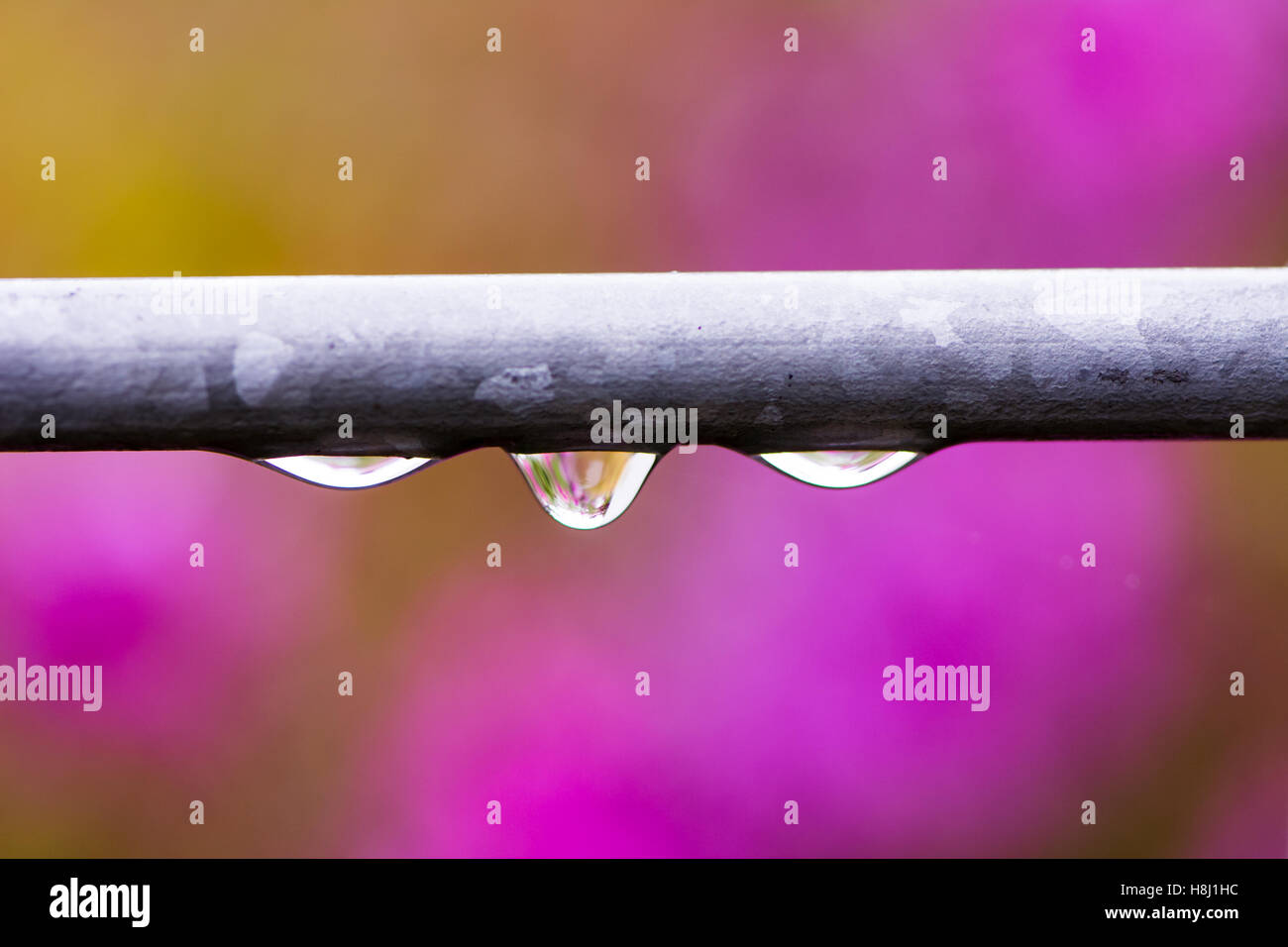 Iron drop hi-res stock photography and images - Alamy