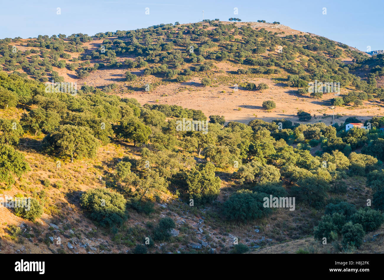 Andalusian mountains hi-res stock photography and images - Alamy